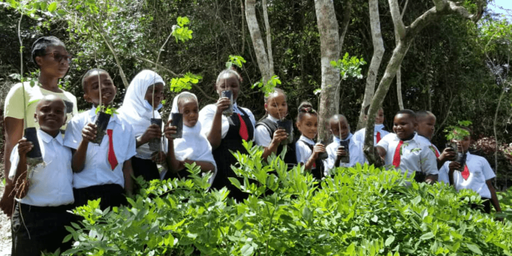 Teach Climate Change and Awareness | Take Action Global