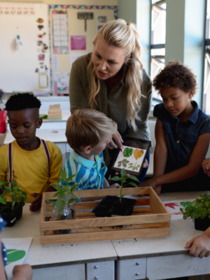 Climate Action Schools Take Action Global