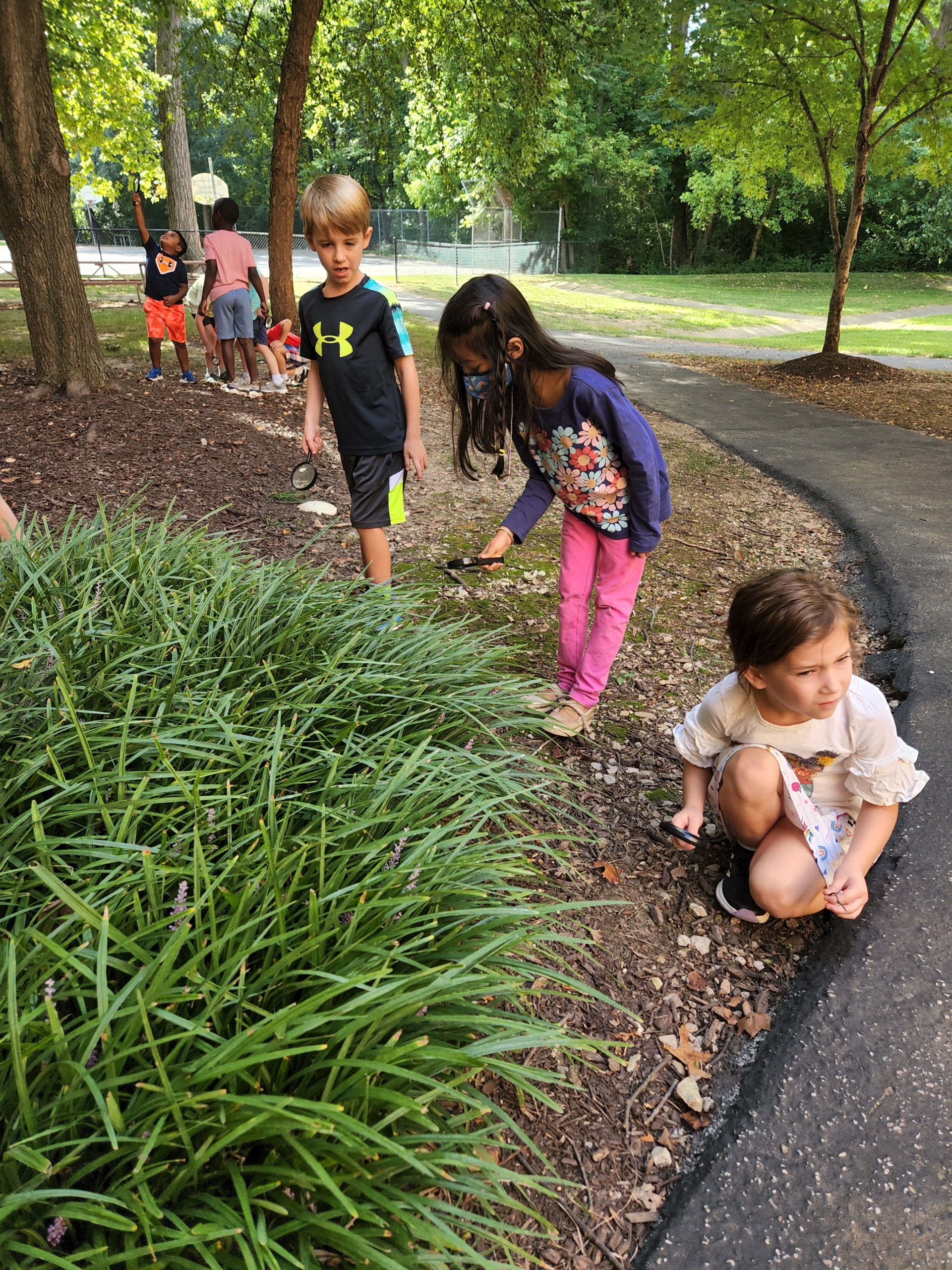 Climate Action Schools - Take Action Global