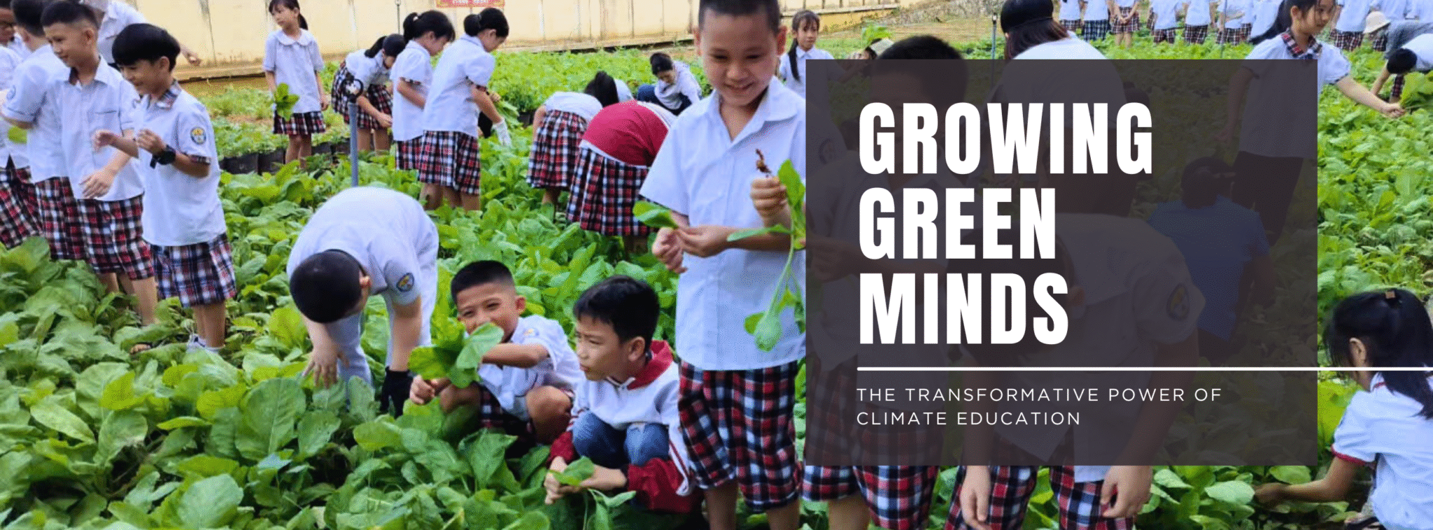 15 Climate Action Classroom Conversation Starters for Earth Day and ...